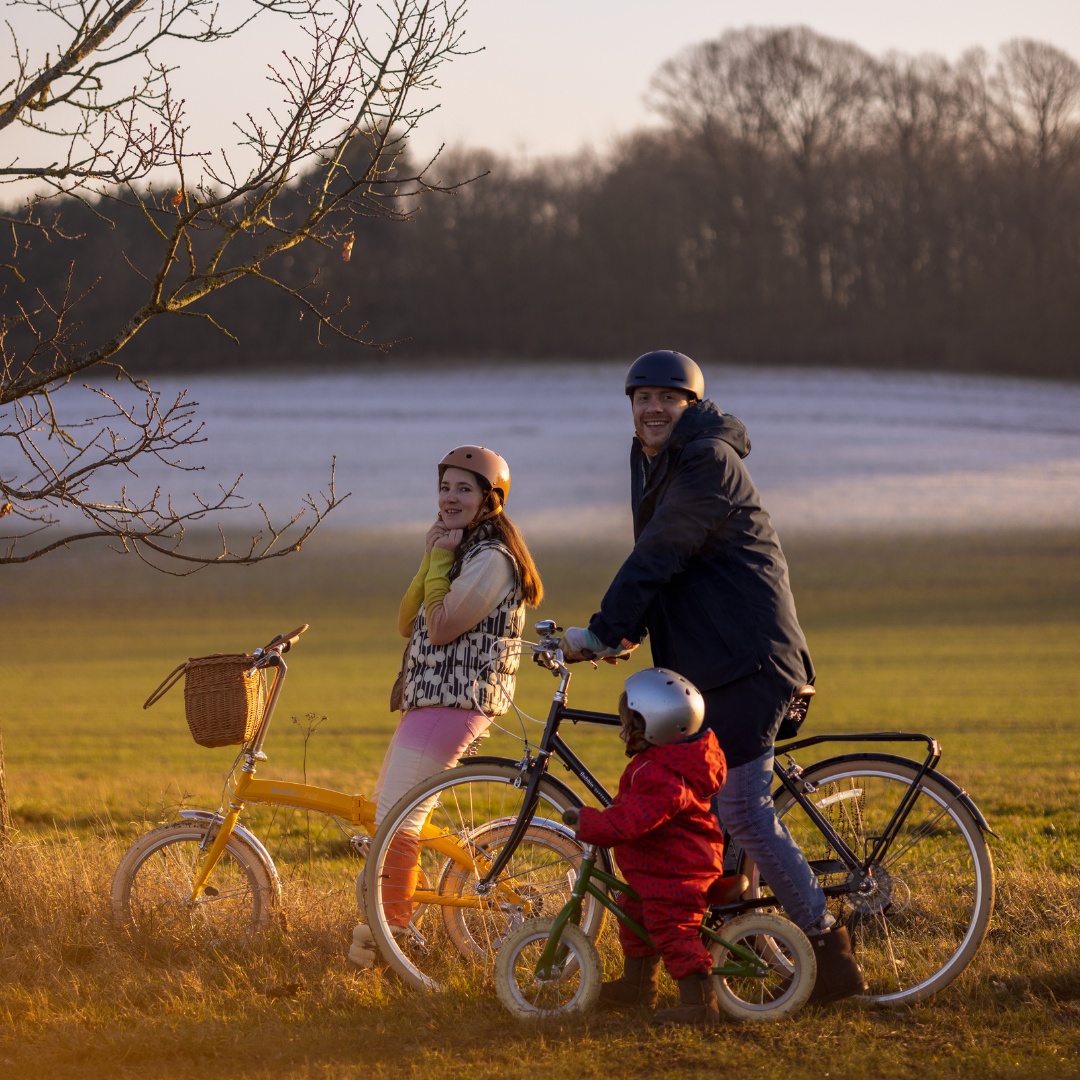 Daytripper Adult Bike | 7-Gear Bicycle - Bobbin Bikes