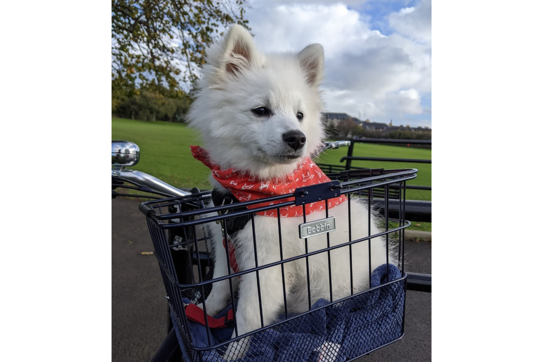 Express Bike Basket | Bicycle Basket Front - Bobbin Bikes