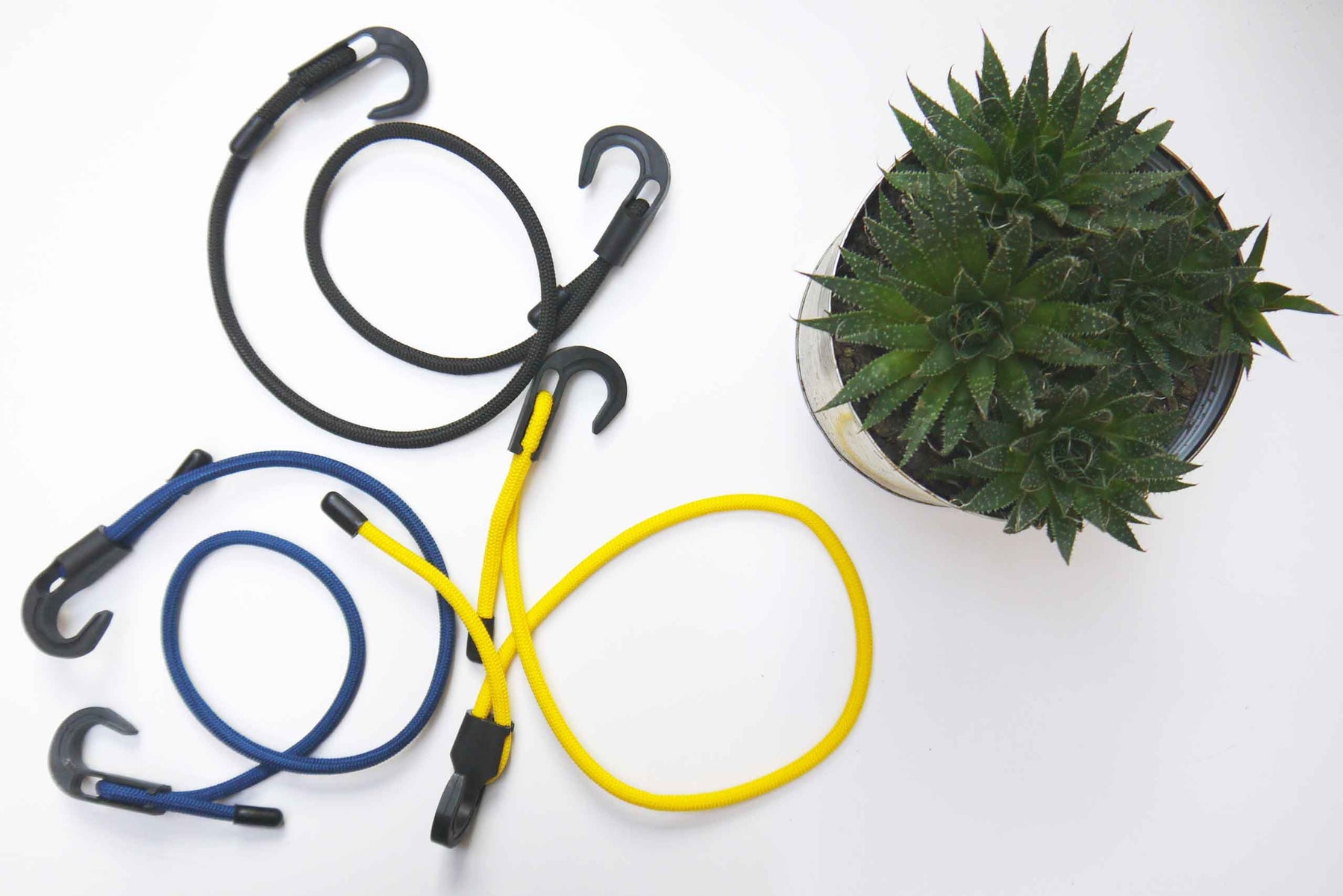 Bobbin Long Bike Bungee | Various Colours | 75cm Long/8mm Wide